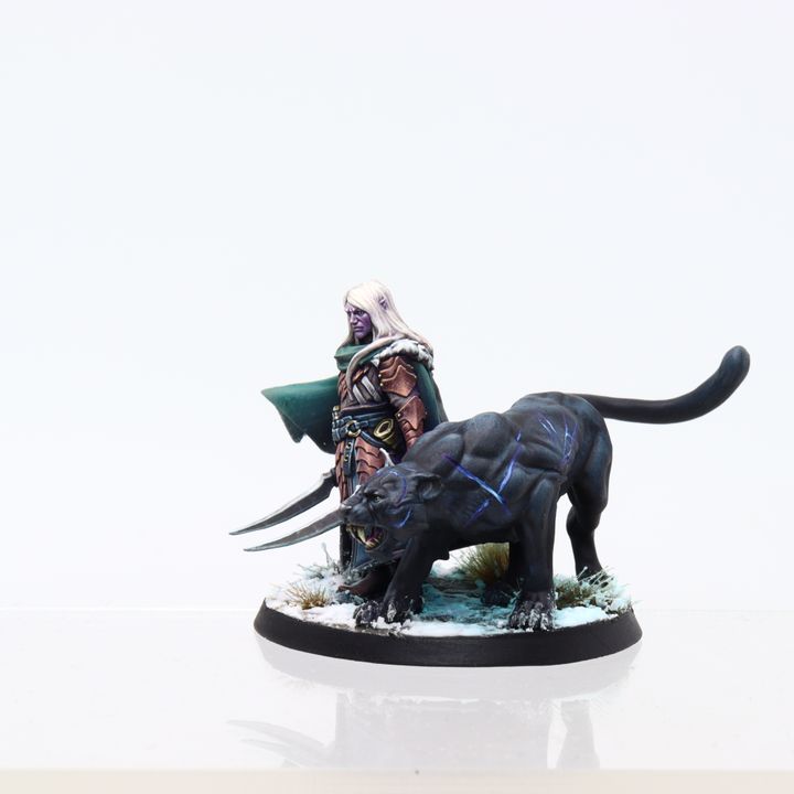 3D Printable [PDF Only] (Painting Guide) Drow Ranger (+ Black Panther) by Bite the Bullet